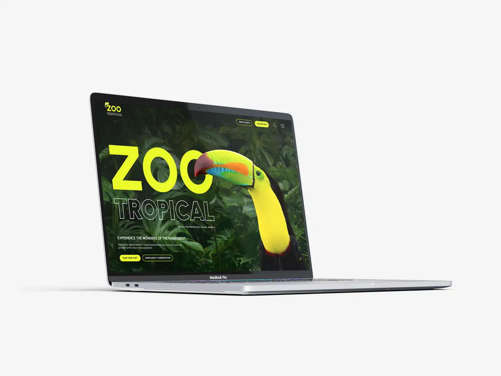 Zoo Tropical - Webdesign, Branding, Logopakke & grafisk design